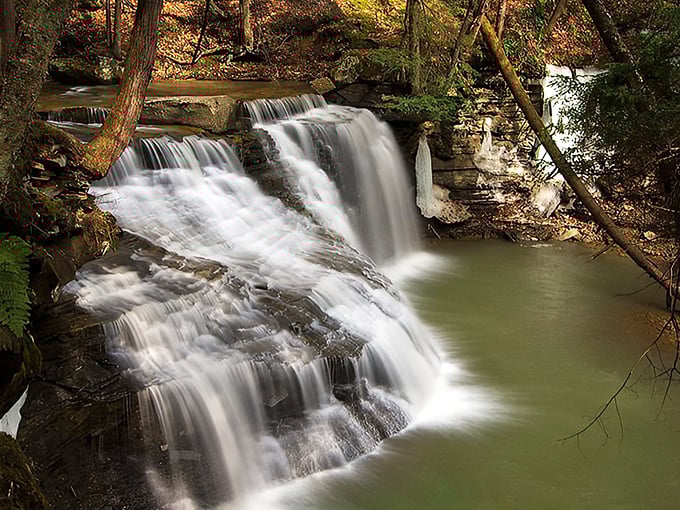 Sunlight filters through the forest canopy, highlighting the waterfall's graceful descent – a hidden Pennsylvania treasure worth every step of the journey.