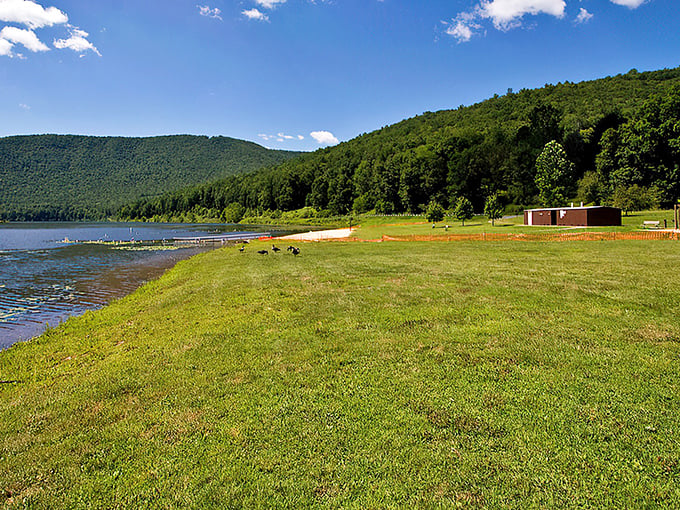 Nature's front porch! The shoreline at Kettle Creek offers a grassy welcome mat where the mountains seem to dip their toes into crystal-clear waters.