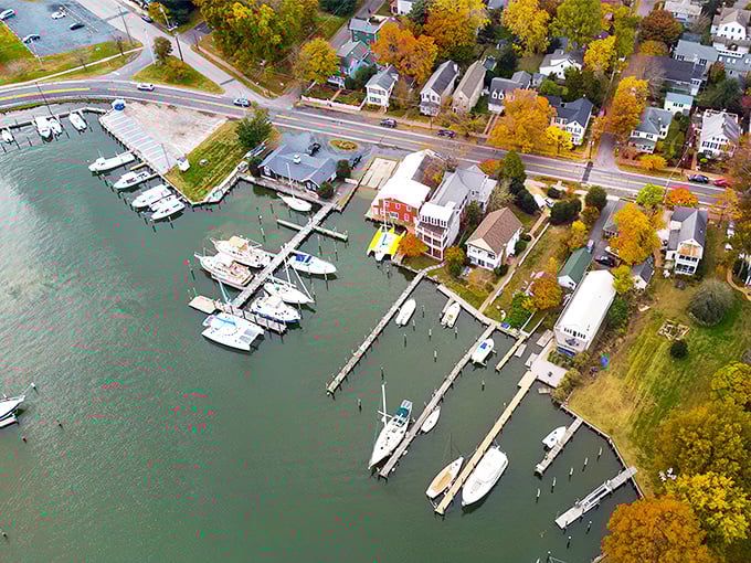 Autumn in Oxford isn't just a season, it's a masterpiece. The marina's wooden docks cradle boats while historic homes stand sentinel, dressed in fall's finest colors.