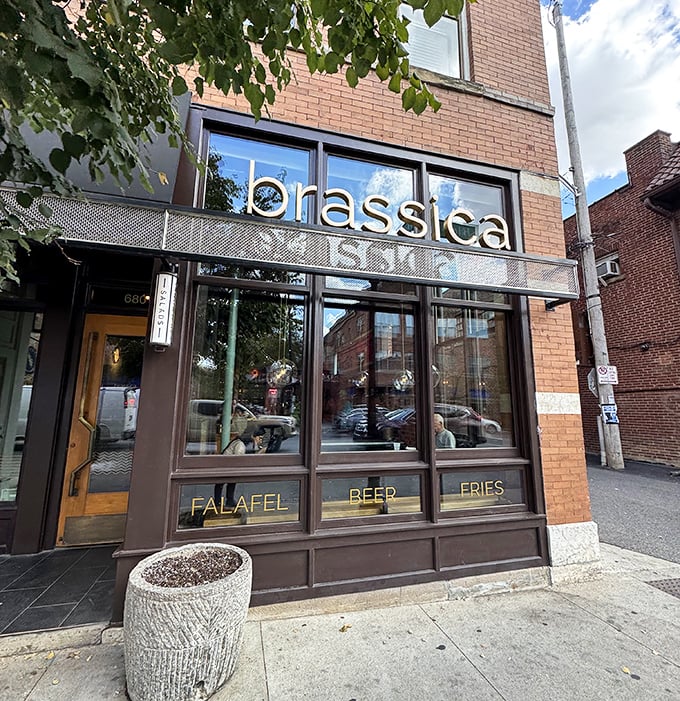 Brassica's sleek storefront in Columbus' Short North district invites passersby with its modern façade and warm wooden accents—Mediterranean magic hiding in plain sight.