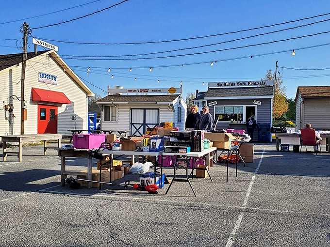 Small-town entrepreneurs set up shop under blue skies, where yesterday's knickknacks become tomorrow's conversation pieces. The thrill of the hunt begins!