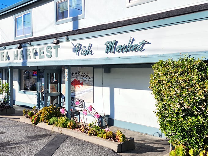 Sea Harvest's classic blue and white facade welcomes seafood lovers with the promise of ocean-fresh delights, no pretension required.