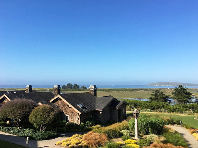 Coastal tranquility at its best — this serene seaside retreat offers sweeping views of the ocean, peaceful wetlands, and charming cottages nestled in lush greenery.