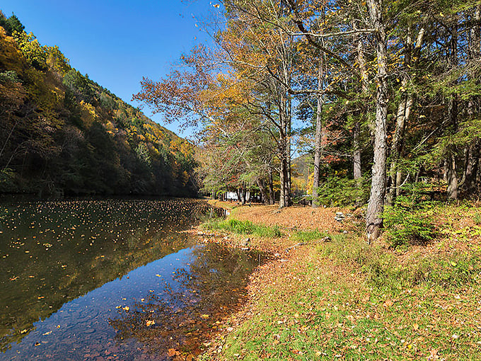 Fall's paintbrush transforms Kettle Creek into nature's masterpiece. The water reflects autumn's glory like a mirror showing off its best side. 