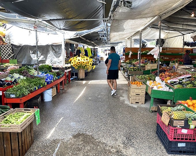 A produce paradise where Florida's bounty shines. Vibrant citrus, emerald limes, and farm-fresh vegetables create a rainbow of possibilities for tonight's dinner.