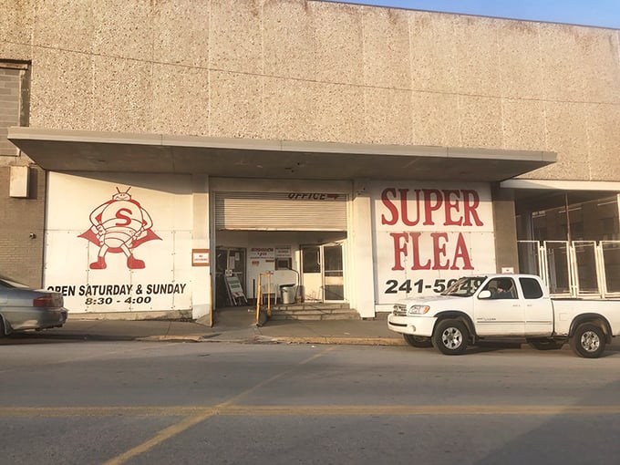 The unassuming superhero of bargain hunting stands ready to welcome treasure seekers. That cartoon flea mascot promises adventure inside those concrete walls.