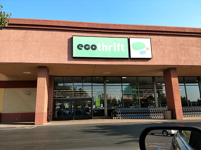Welcome to thrifting paradise – where your wallet can finally relax and enjoy the ride.