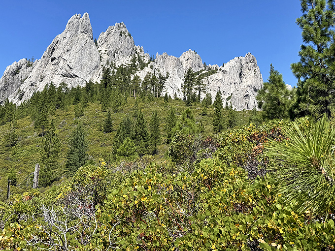 Nature's skyscrapers reach for the heavens at Castle Crags, where 170-million-year-old granite formations create California's most dramatic skyline without a single parking meter.
