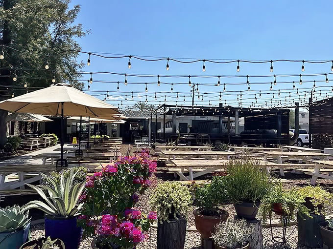 Desert meets Texas charm with colorful planters and string lights creating an outdoor oasis where BBQ dreams come true.