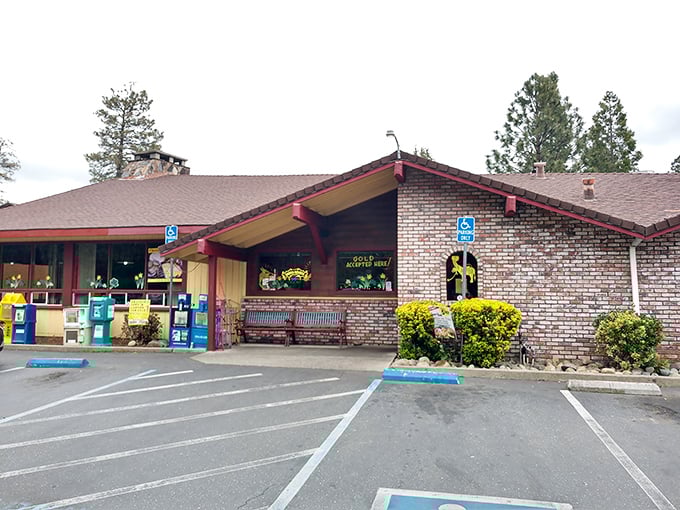 The brick facade and red trim of Cozy Diner welcomes you like an old friend who's been waiting all day to share a secret recipe.