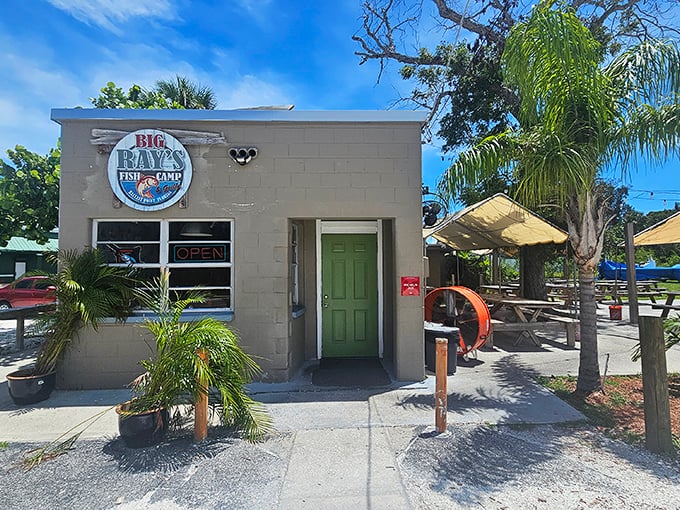 This humble building holds treasures that would make a mermaid jealous – if mermaids ate grouper sandwiches.