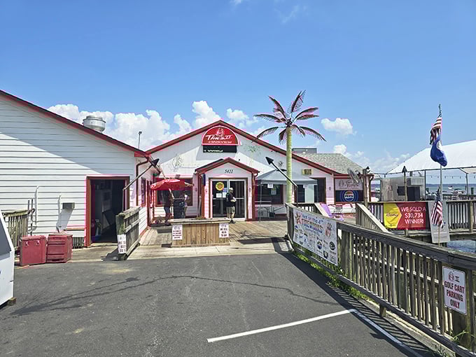 The plastic palm tree says it all – this isn't pretentious dining, it's seafood paradise. Red trim, wooden decks, and Potomac River views await.