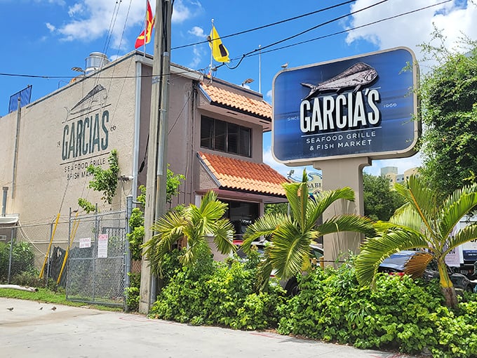 The pink stucco exterior of Garcia's with its Spanish-style roof tiles and colorful nautical flags stands as Miami's seafood beacon—no neon required.