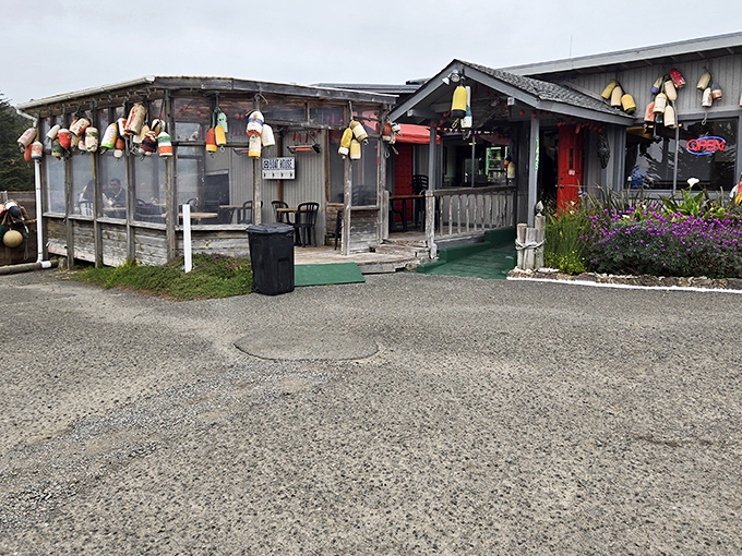 Another angle reveals the full character of this coastal treasure—where fishing floats and weathered boards tell stories of decades facing the Pacific elements.