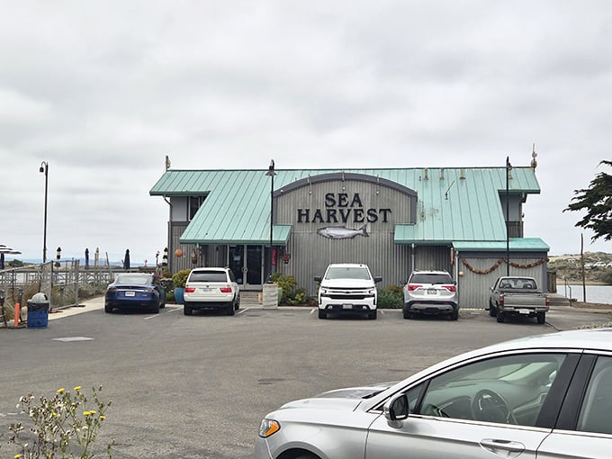 Sea Harvest keeps it simple on the outside, with a teal roof and weathered walls that hint at what really matters inside—seafood so fresh it speaks for itself.