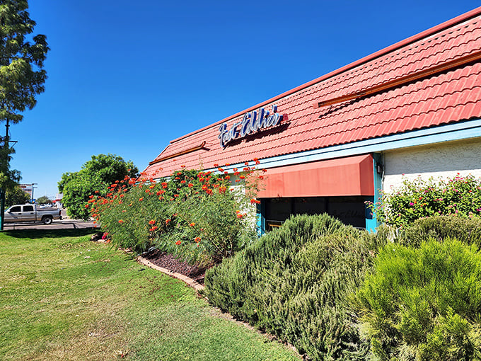 Desert landscaping meets diner charm—Fast Eddie's exterior proves that even in Phoenix, you can find an oasis of home-style cooking surrounded by vibrant desert blooms.