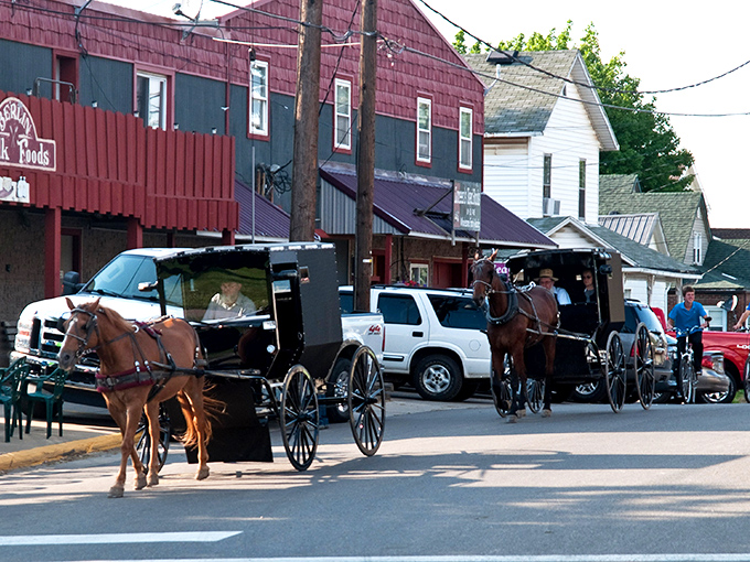 Those horse-drawn buggies aren't just for show – they're the original ride-sharing app with zero surge pricing.