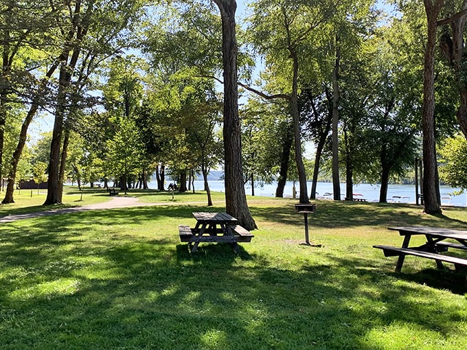 Blue Hill rises majestically above the Susquehanna River, creating a postcard-worthy backdrop that makes amateur photographers look like professionals.
