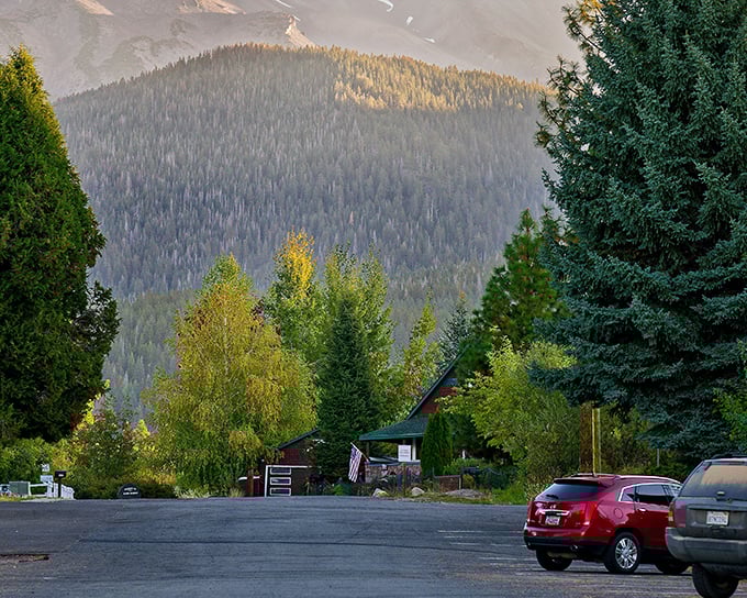 A neighborhood where "mountain view" isn't a real estate exaggeration but an understatement. Those trees aren't just decoration—they're nature's welcome committee.