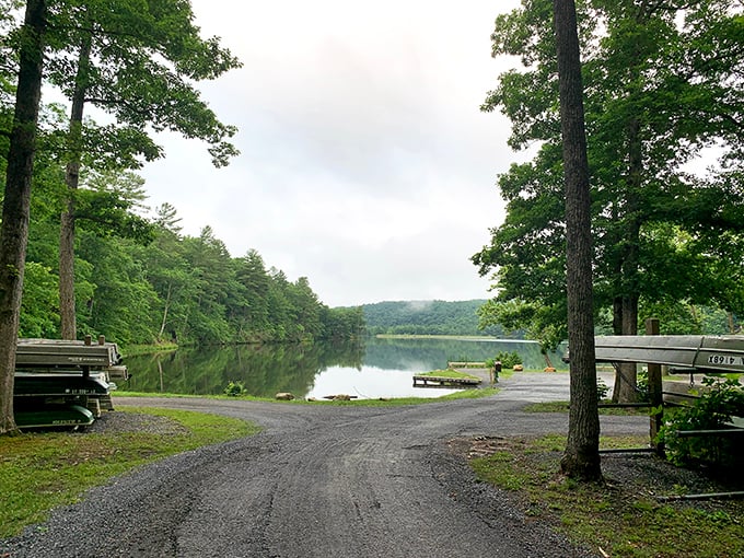The road less traveled leads to water so still it looks like nature's mirror. Virginia's hidden treasure awaits just around the bend.