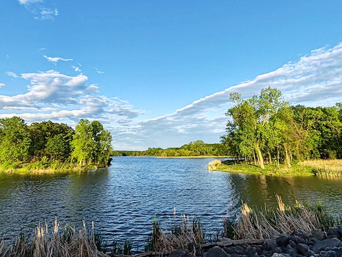 Mother Nature's masterpiece just minutes from suburban driveways—Busse Woods' tranquil waters reflect clouds that seem painted specifically for this scene.