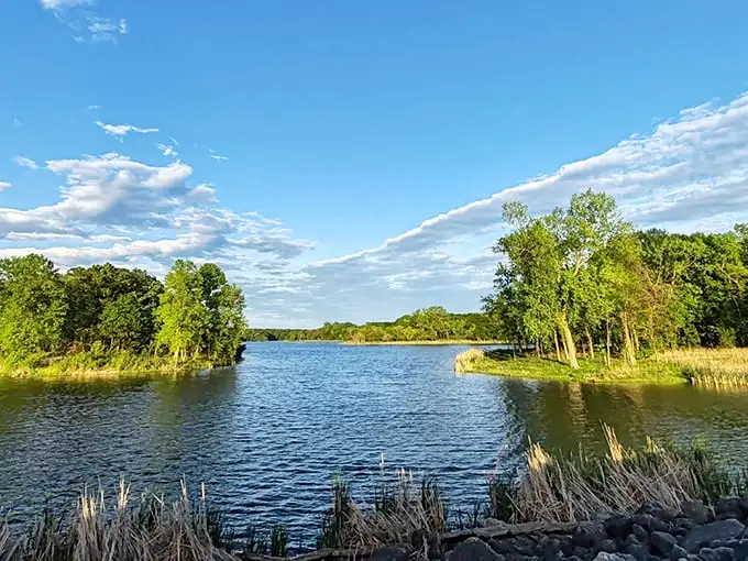 Mother Nature's masterpiece just minutes from suburban driveways—Busse Woods' tranquil waters reflect clouds that seem painted specifically for this scene.