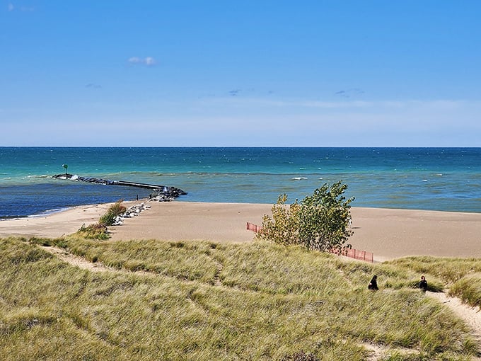 Where Lake Michigan meets golden sand, creating that perfect "did I accidentally teleport to the Caribbean?" moment every Michigander deserves.