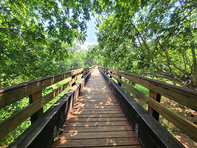That wooden bridge isn't just a path – it's your portal to Arizona's most photogenic wonderland.