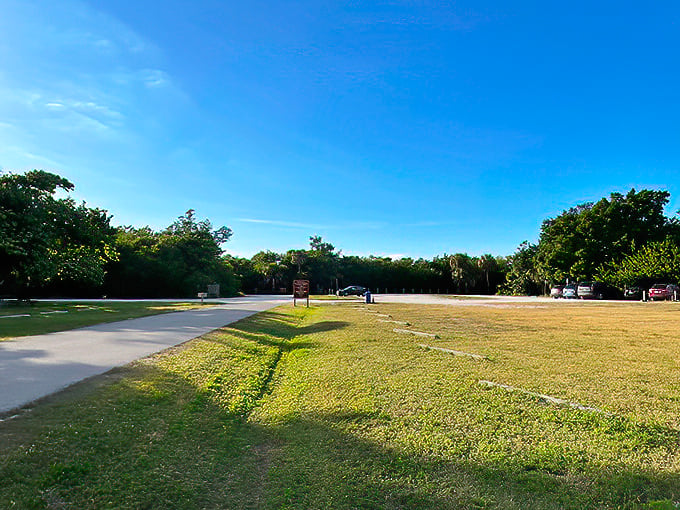 Welcome to paradise's parking lot – where your adventure begins with a promise of sandy shores and wildlife encounters just beyond those trees.