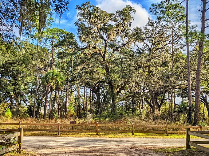 A peaceful stretch of Dade Battlefield welcomes visitors with towering oaks draped in Spanish moss. Nature’s calm and timeless beauty make this a perfect place to pause and take it all in.