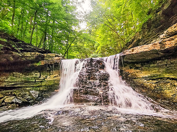 Nature's own masterpiece – McCormick's Creek waterfall cascades over ancient limestone ledges, creating a symphony of sound that no playlist can match.