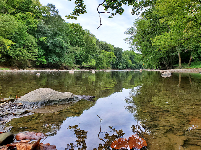 Nature's mirror at work—Wolf Creek's crystal-clear waters perfectly reflect the lush canopy above, creating a double dose of serenity.