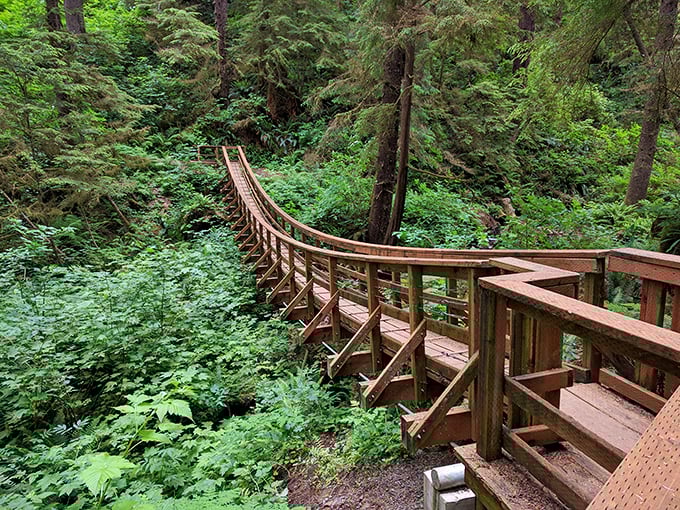 Welcome to paradise! The entrance to Cape Lookout State Park invites you in with a sunlit forest bridge that promises adventure ahead.