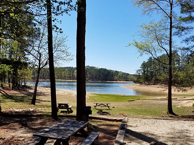 Those picnic tables have witnessed more family reunions than a Southern grandmother's photo album.