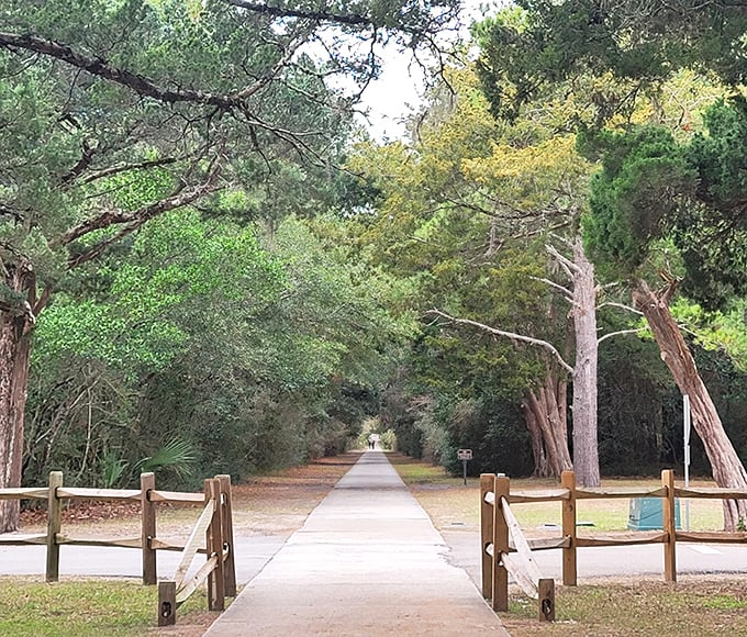 Nature's welcome mat unfurls before you – a tree-lined pathway inviting exploration into South Carolina's best-kept coastal secret.