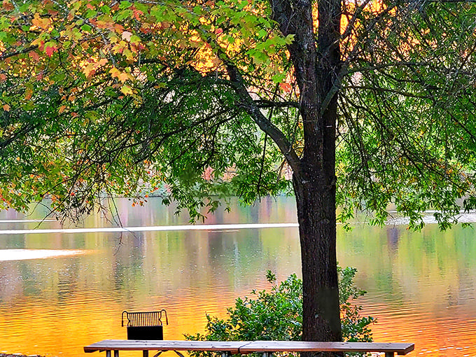Fall's first whispers transform Holliday Lake into a painter's palette, where tranquility awaits at nature's perfect picnic spot.