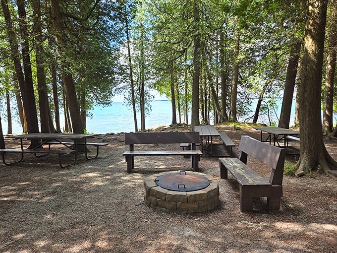 Picnic paradise! These lakeside tables offer front-row seats to nature's greatest show—crystal waters meeting towering pines with a soundtrack of gentle waves.