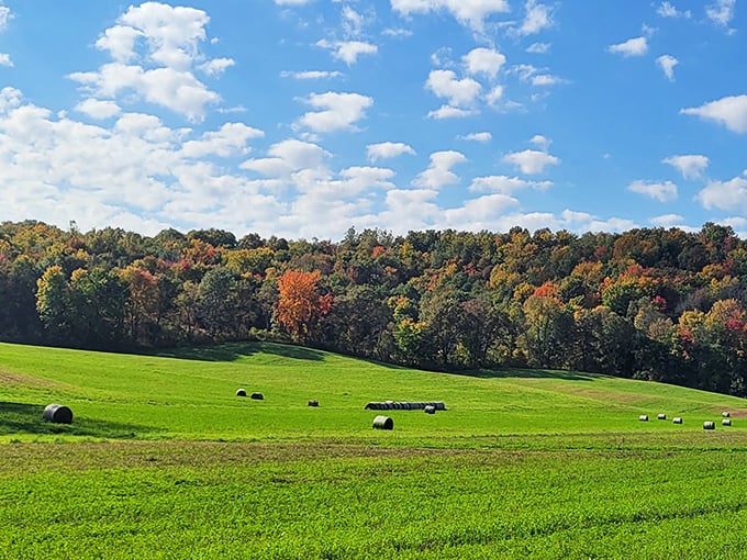 Welcome to Wisconsin's best-kept secret. The unassuming entrance to Natural Bridge State Park promises adventure beyond those rolling hills.