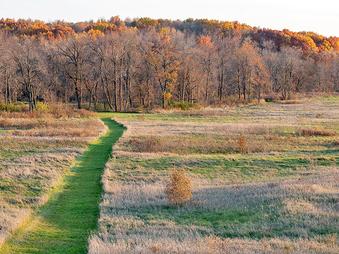 Nature's own emerald runway stretches through golden fields, inviting you to follow its path into Wisconsin's ancient past.