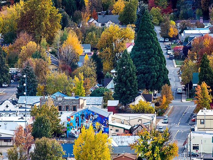 Fall in Quincy paints the town in nature's most extravagant palette—like if Bob Ross and Monet collaborated on a mountain masterpiece.