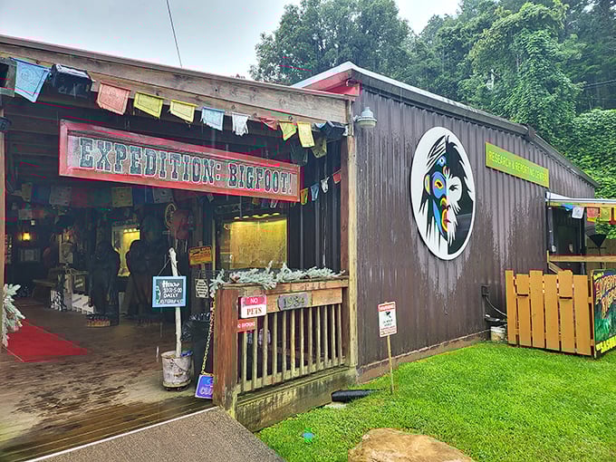 Another angle reveals the museum's full façade, complete with American flag and "MUSEUM" sign large enough for even a nearsighted Bigfoot to read from the forest.