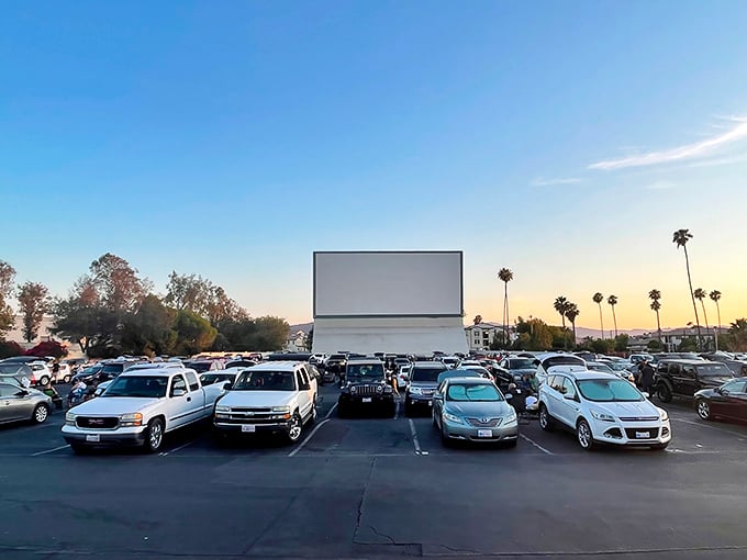 Cars lined up like eager moviegoers from decades past, the massive white screen standing ready for cinematic magic as palm trees frame the California sunset.