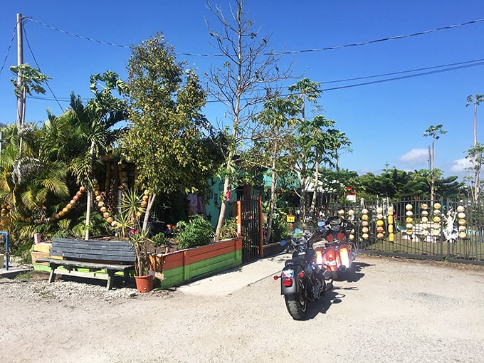 The entrance to paradise doesn’t need a fancy gate—just tropical greenery, colorful planters, and rows of hanging buoys that hint at the delicious adventures ahead.