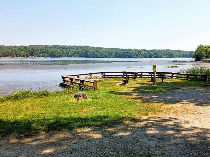 Pinchot Lake stretches out like nature's welcome mat, where Pennsylvania's blue skies meet crystal waters in a scene that makes smartphone wallpapers jealous.