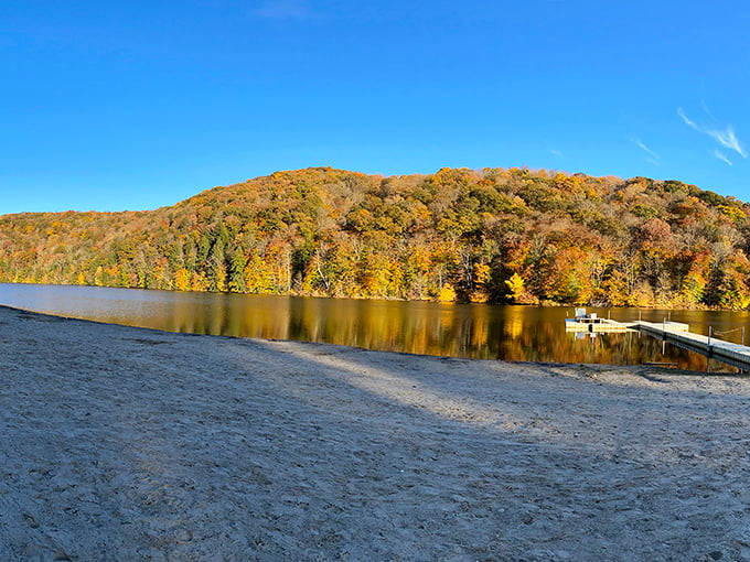 Golden autumn reflections dance across Laurel Hill Lake like nature's own disco ball in motion.