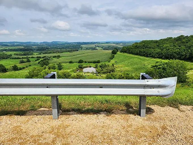 The guardrail isn't just holding back cars—it's restraining all of northwestern Illinois from tumbling into your lap in one magnificent panoramic feast.