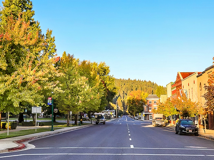 Main Street Quincy in autumn glory—where fall foliage meets small-town charm and not a single chain store ruins the view.
