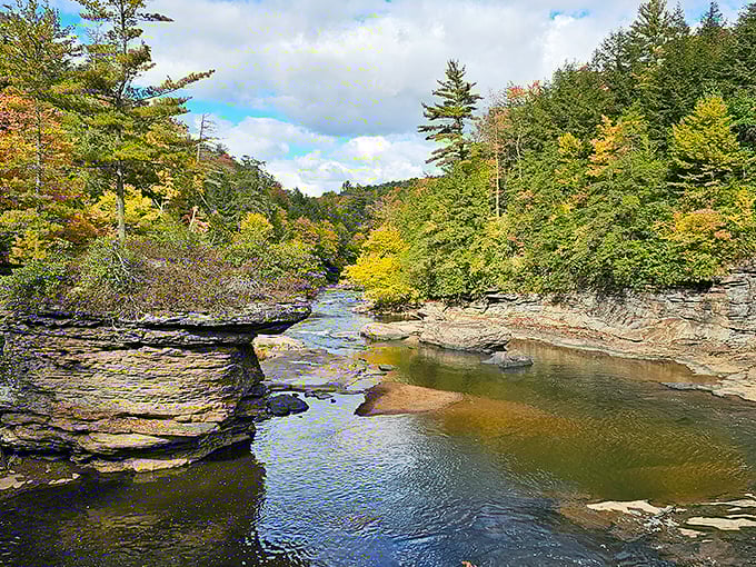 Nature's own masterpiece: the Youghiogheny River carves through ancient rock formations, creating a landscape that rivals any art museum.
