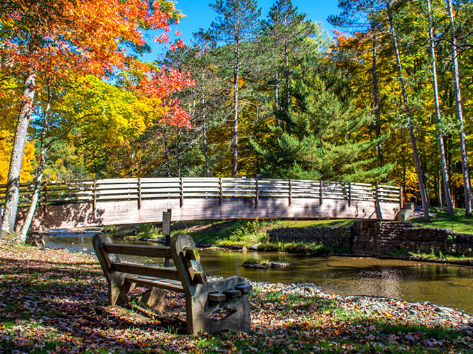 Fall foliage frames the park entrance like nature's own welcome mat, complete with autumn's finest color palette.