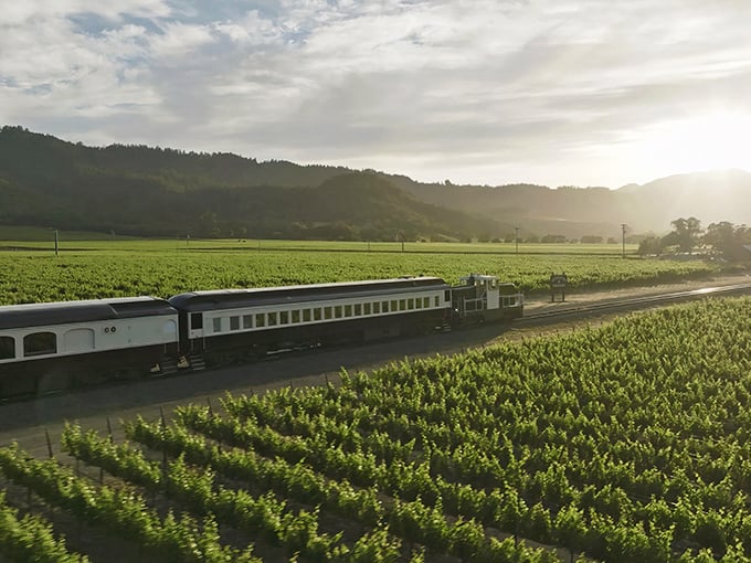 Mother Nature showing off her vineyard runway as the Wine Train makes its elegant commute through California's most delicious landscape.